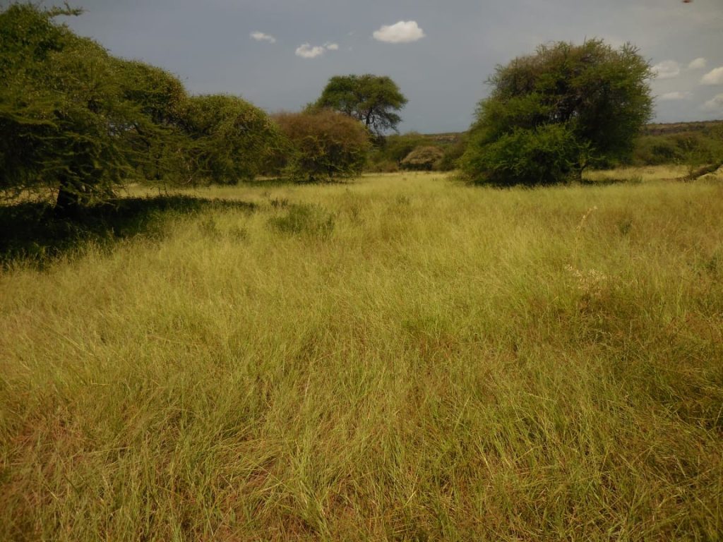 Programmes and Projects - Sustainable Agriculture Community Development ...